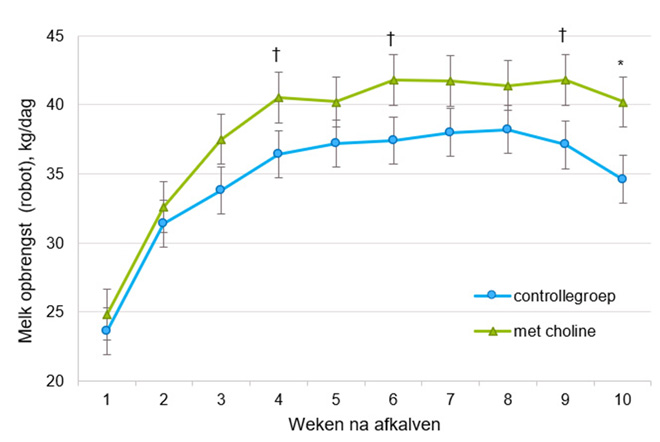 Nieuw: FITBROK - Voor ondersteuning leverfunctie en een betere opstart
